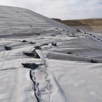 China High Density Polyethylene Composite Geonet 7mm Road Drainage Solution 3000Ka for sale