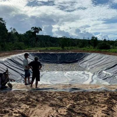 中国 1.0mm HDPE 魚池用 地膜 幅 1~6m 化学物剤耐性 黒い 地膜 販売のため