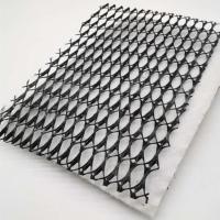 China High Density Polyethylene Composite Geonet 7mm Road Drainage Solution 3000Ka for sale