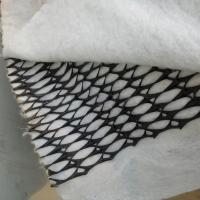 China High Density Polyethylene Composite Geonet 7mm Road Drainage Solution 3000Ka for sale