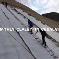 China High Density Polyethylene Composite Geonet 7mm Road Drainage Solution 3000Ka for sale