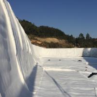 China High Density Polyethylene Composite Geonet 7mm Road Drainage Solution 3000Ka for sale