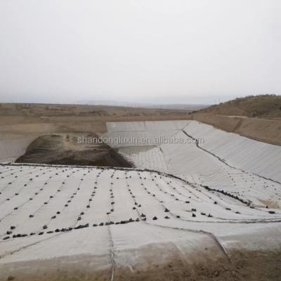 Cina 50 m/100 m/ Rete di drenaggio composita per il letto stradale delle discariche CE/ISO9001/ISO14001 Certificato in vendita