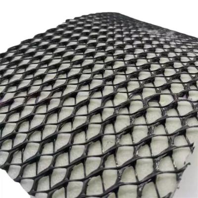 Cina Drenaggio dell'acqua piovana 3d Rete di drenaggio geocomposta di plastica per gallerie o dighe industriali in vendita