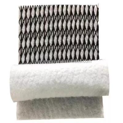 China Zwart-wit Driedimensionaal samengesteld drainage netwerk Geonet Hdpe 5 mm Drainage Mat Niet-geweven stof Te koop
