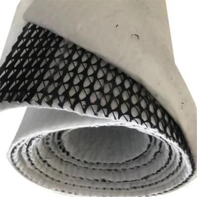 China Zwart-wit Driedimensionaal samengesteld drainage netwerk Geonet Hdpe 5 mm Drainage Mat Niet-geweven stof Te koop