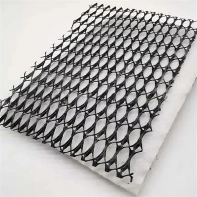 China Snel bouwen 3d Plastic Drainage Geocomposite Geonet 8mm X 6mm Met Langvezel Geotextiel Te koop