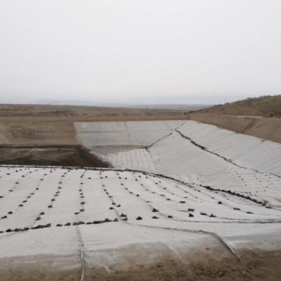 China HDPE 3D Salzbarrieren Drainage Geonet Geocomposite Netz für Deponien Straße Garten Drainage zu verkaufen