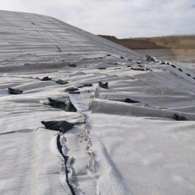 China HDPE 3D Salzbarrieren Drainage Geonet Geocomposite Netz für Deponien Straße Garten Drainage zu verkaufen