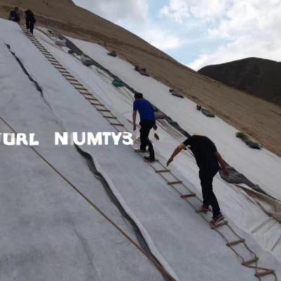 Cina Rete di drenaggio composta tridimensionale con opzioni di lunghezza di 50 m a 100 m o personalizzate in vendita