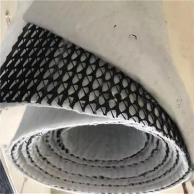 Cina Rivoluzionare il sistema di drenaggio dei tunnel ferroviari delle discariche con reti di drenaggio composte 3D in vendita