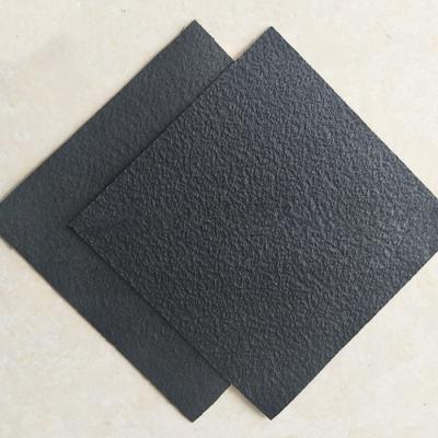 Cina Geomembrana grezza a doppio/unilaterale con servizio post vendita e opzioni personalizzabili in vendita