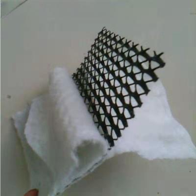 China Online technische ondersteuning voor 5 mm drainage netwerk in 3D composiet drainage Geonet Te koop