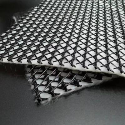 Китай Функция водоотведения Черно-белая 5 мм HDPE композитная дренажная сеть для свалок продается