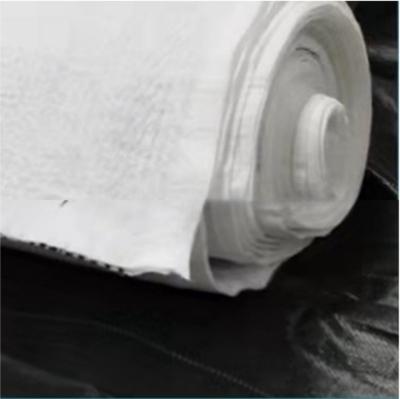 Китай Функция водоотведения Черно-белая 5 мм HDPE композитная дренажная сеть для свалок продается