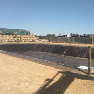 Cina Rivestimento di stagno con geomembrana di superficie liscia o tessuta in HDPE per il progetto di diga in Sudafrica in vendita