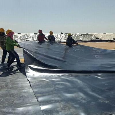 Cina Fogli di geomembrana di plastica a doppio liscio idroreflessibile in HDPE per acquicoltura in vendita