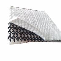 China 3D Composite Drainage Network 5mm HDPE Geocomposite for Highway Drainage 50m Length 4m Width for sale