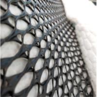 China 3D Composite Drainage Network 5mm HDPE Geocomposite for Highway Drainage 50m Length 4m Width for sale
