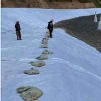 China 3D Composite Drainage Network 5mm HDPE Geocomposite for Highway Drainage 50m Length 4m Width for sale