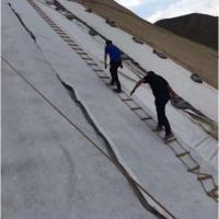 China 3D Composite Drainage Network 5mm HDPE Geocomposite for Highway Drainage 50m Length 4m Width for sale