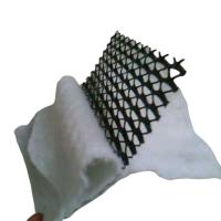 China 3D Composite Drainage Geonet 4m Width 5mm Thickness for Highway Drainage Projects for sale