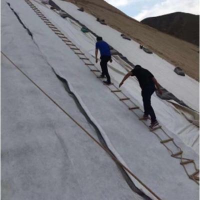 China 50m de comprimento Design moderno de drenagem composta tridimensional Geonet 6mm espessura para rodovias à venda