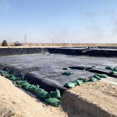 Cina Capacità di soluzione del progetto Geomembrana in HDPE da 2 mm per membrana impermeabile in acquario in vendita