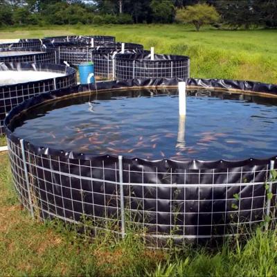 Cina 0Geomembrana in HDPE nero da 0,5 mm per l'allevamento di pesci in vendita