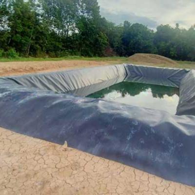 Cina Geomembrana di superficie in HDPE da 1,5 mm personalizzata per serbatoio in nero bianco verde blu in vendita