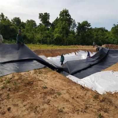 Cina Geomembrana in HDPE, rotoli di rivestimento per stagni, spessore 0,5 mm, geomembrana per discariche, lunghezza 50-100 m in vendita
