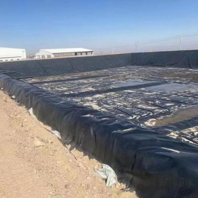 Cina Geomembrana impermeabile Geomembrana in HDPE a doppia trama per l'ispezione in loco delle lagune in vendita