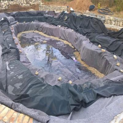 Cina Geomembrana impermeabile Geomembrana in HDPE a doppia trama per l'ispezione in loco delle lagune in vendita
