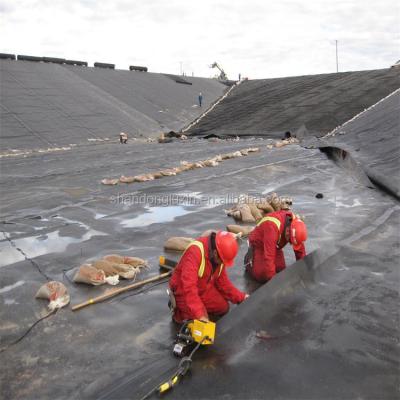 Cina Geomembrana impermeabile Geomembrana in HDPE a doppia trama per l'ispezione in loco delle lagune in vendita
