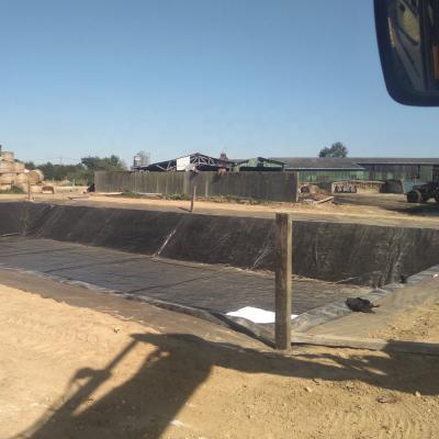 Cina Geomembrana in HDPE come rivestimento di stagno agricolo con lunghezza di 50-100m/rollo Personalizzabile in vendita