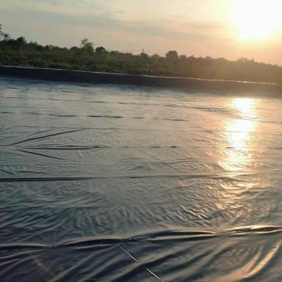Cina Geomembrane Liner HDPE personalizzabile 0,5 mm 0,75 mm 1 mm per Total Project Solutions in vendita