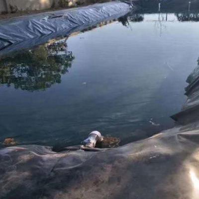 Китай 1мм HDPE геомембрановый водоем для проекта плотины плотины в Сингапуре водонепроницаемый Черный Синий продается