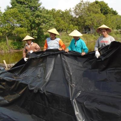 Cina Progetti di Soluzione Totale 0,5 mm HDPE Geomembrana nera liscia con texture in vendita
