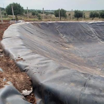 Cina Geoliner in HDPE a doppia superficie liscia/tessura per l'Indonesia stagno di allevamento di pesci larghezza 1-8m in vendita