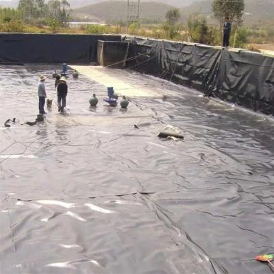 Cina Geoliner impermeabile da 1000 micron per acquicoltura in vendita