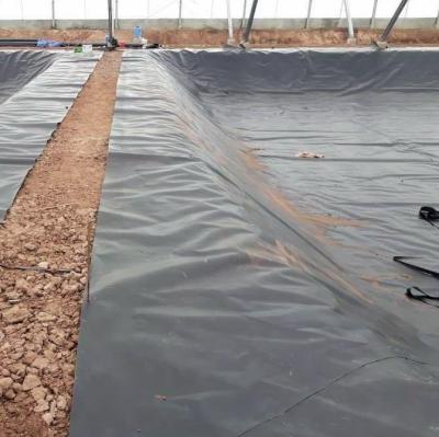 Cina Installazione in loco Geomembrana in HDPE per piscina artificiale e rivestimento di dighe in vendita