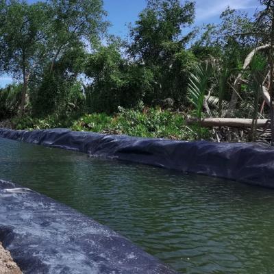 Cina Installazione in loco Geomembrana in HDPE per piscina artificiale e rivestimento di dighe in vendita