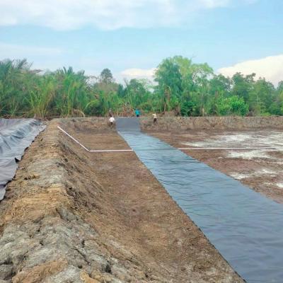 中国 2.0mm HDPE ダム レイナー 両側 建設用 滑らか/質感のある表面 販売のため