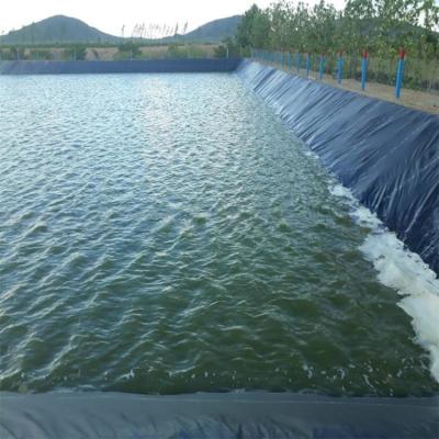 Cina Geomembrana in HDPE di larghezza da 1m-8m per l'allevamento di gamberetti in vendita