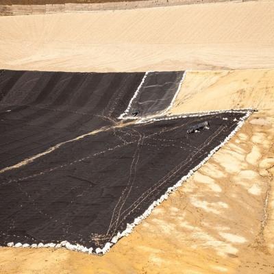 Cina Liner per stagno di pesci a geomembrana pieghevole in nero o colore personalizzato per l'allevamento di pesci rattani in vendita