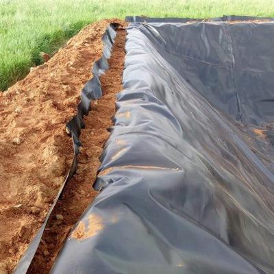 Cina 50-100m di lunghezza Geomembrana HDPE per geomembrane in stagno in polietilene a densità in vendita
