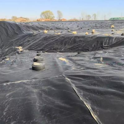 Cina Vendita diretta Geomembrana liscia in HDPE con addestramento in loco e spessore da 0,1 mm a 2,5 mm in vendita
