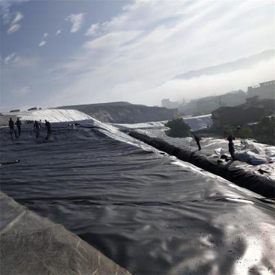 Cina Vendita diretta Geomembrana liscia in HDPE con addestramento in loco e spessore da 0,1 mm a 2,5 mm in vendita