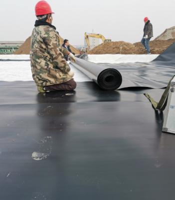 Cina Geomembrana in HDPE a doppia consistenza per serbatoi di allevamento di pesci a bambusa in vendita