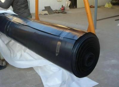 Cina Geomembrana in HDPE a doppia consistenza per serbatoi di allevamento di pesci a bambusa in vendita